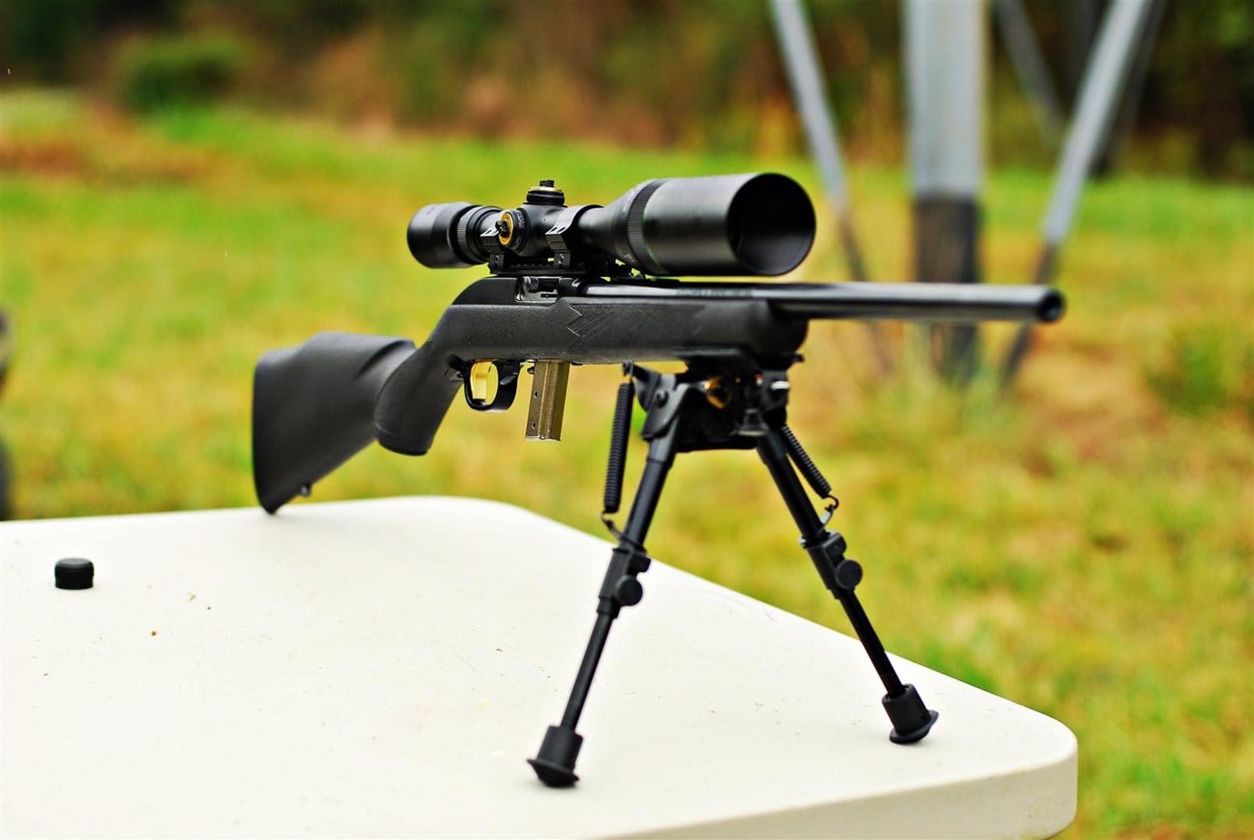 .22 Rifle Review - Best choices for hunting and home defense 2017