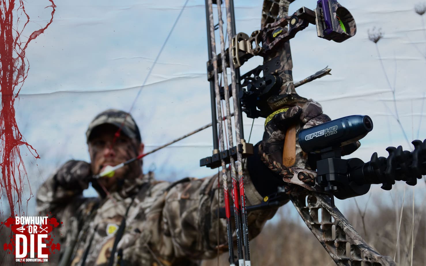Hoyt Charger vs Bowtech Assassin: Finding The Best Cheap Compound Bow