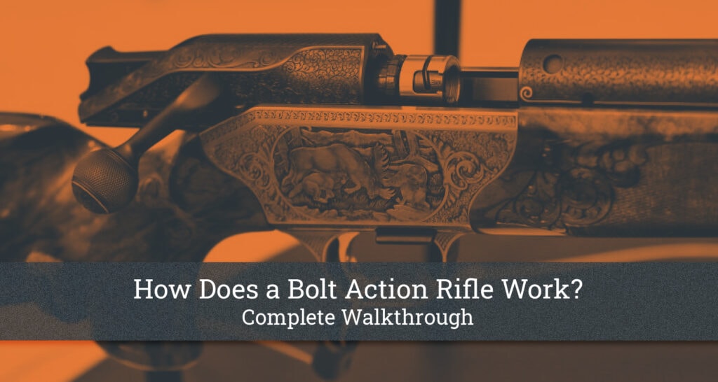 How Does a Bolt Action Rifle Work? — Complete Walkthrough