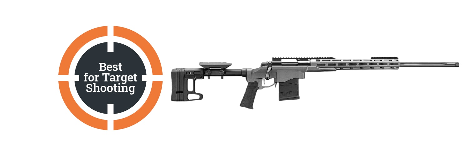 10 Best 308 Rifles for the Money [Bolt Action & Semi-Auto]