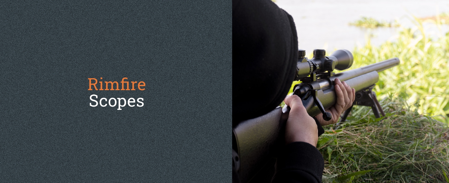 Best Rimfire Scope for 22LR Rifles: Top 8 Review [2023]