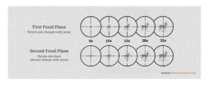 Examining Rifle Scope View: What Is Field of View (FOV)?