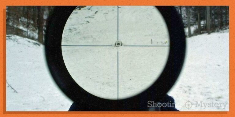 What Is Parallax on a Scope? (How to Adjust and Correct)