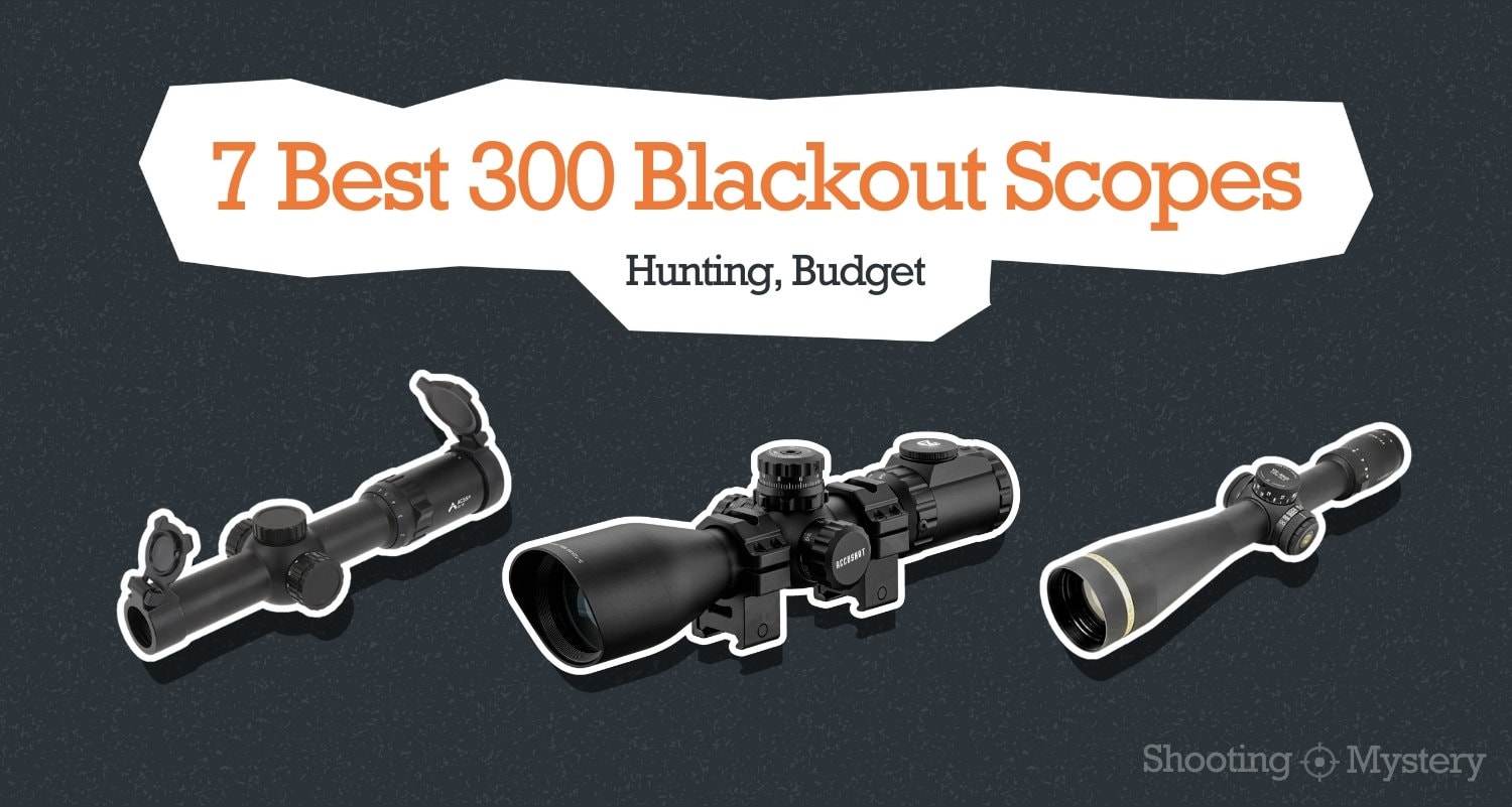 7 Best 300 Blackout Scopes (Hunting, Budget)